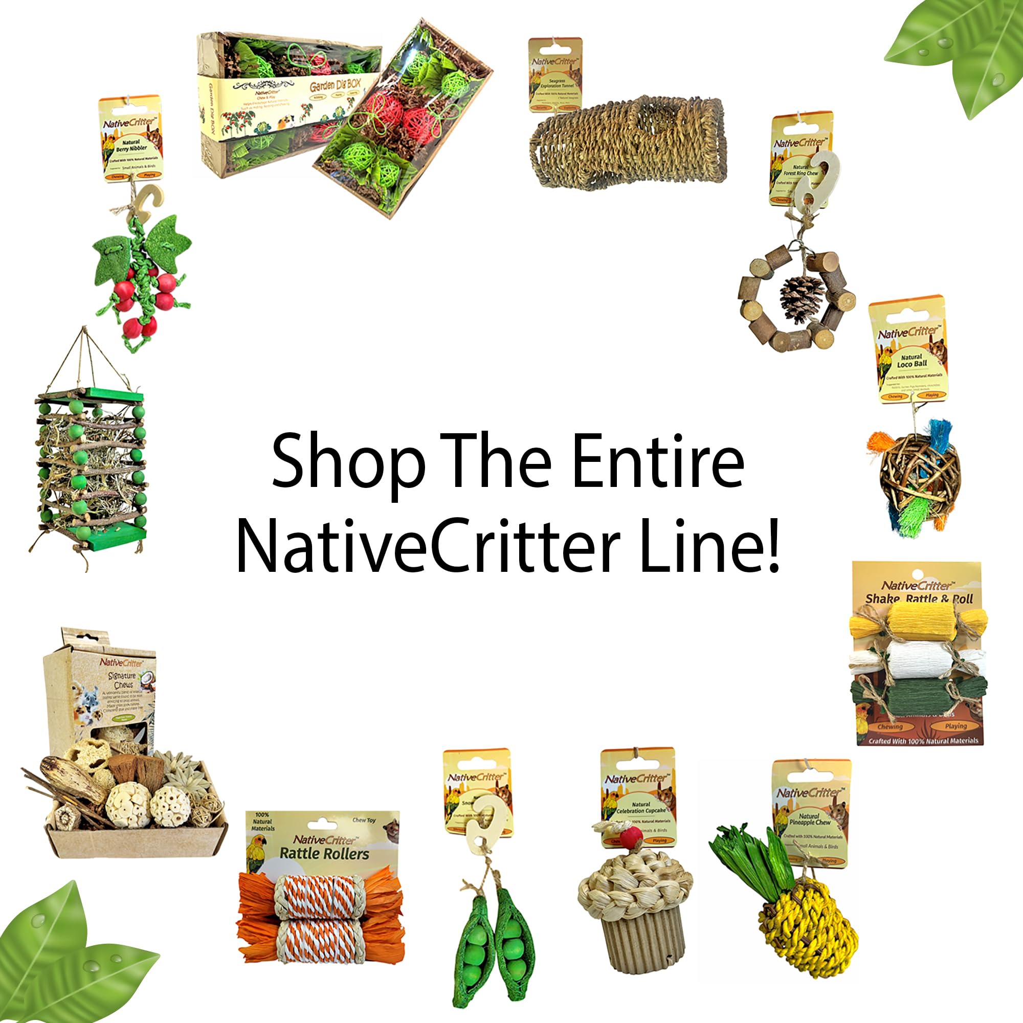 Exotic Nutrition Chew Toy Bundle - Natural Interactive Chew Toys - Chinchillas, Guinea Pigs, Hamsters, Rabbits, Degus, Prairie Dogs, Small Pets