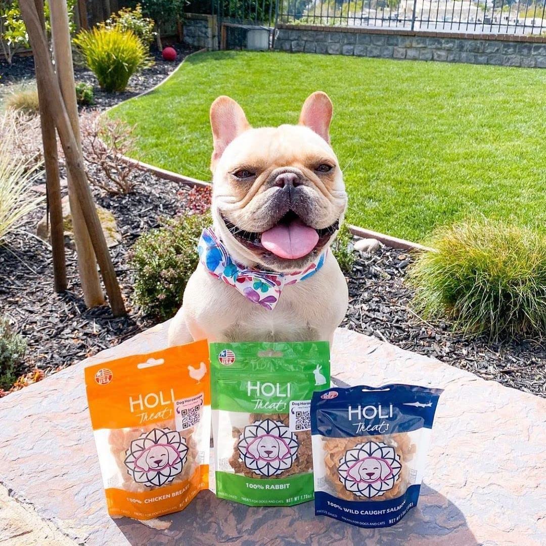 HOLI Freeze Dried Rabbit Treats for Dogs- All Natural Healthy Dog Treats, 100% Made in USA - Single Ingredient - Human Grade - Grain Free - Diabetic Friendly - 1.75oz