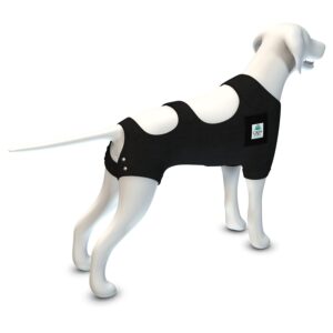 calming recovery vest with dog calming disc (large)