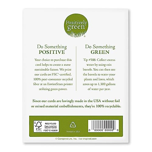 Compendium Positively Green 4-Pack of Birthday Cards - Forever Young, 4.25 in x 5.38 in, 4 Pieces