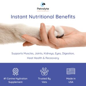 Petralyte Dog Electrolytes and Joint Supplement | Glucosamine, Chondroitin & MSM for Inflammation and Mobility Support | Electrolytes for Dogs with Prebiotics | for Chicken Lovers | 16 Packets