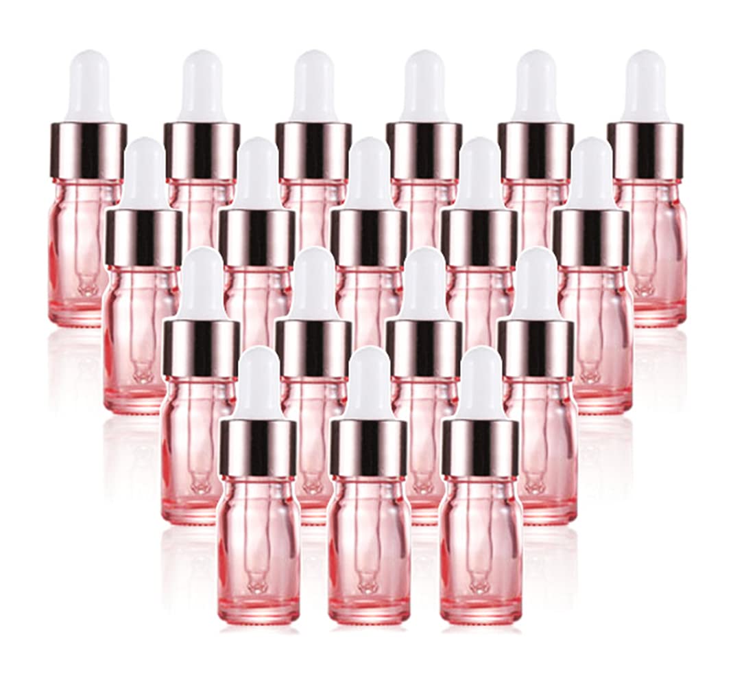 18 Pack,5ml 1/6oz Pink Glass Dropper Bottle for Essential Oils,Empty Glass Eye Dropper Bottle Holder With Glass Pipette,Rose-Golden Caps Cosmetic Perfume Sample Vial Container-Pipette,Stickers,Funnel Included