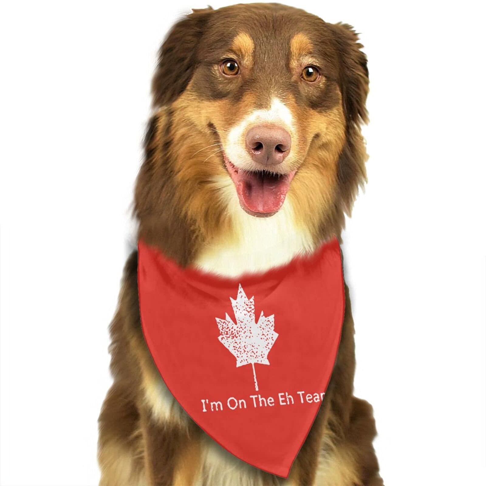 I'm On The Eh Team Canada Canadian Dog Bandana,Dog Bandanas Triangle Bibs Scarf Accessories for Small Medium Large Dogs Cats Pets Animals…