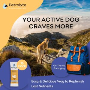 Petralyte Dog Electrolytes and Joint Supplement | Glucosamine, Chondroitin & MSM for Inflammation and Mobility Support | Electrolytes for Dogs with Prebiotics | for Chicken Lovers | 16 Packets