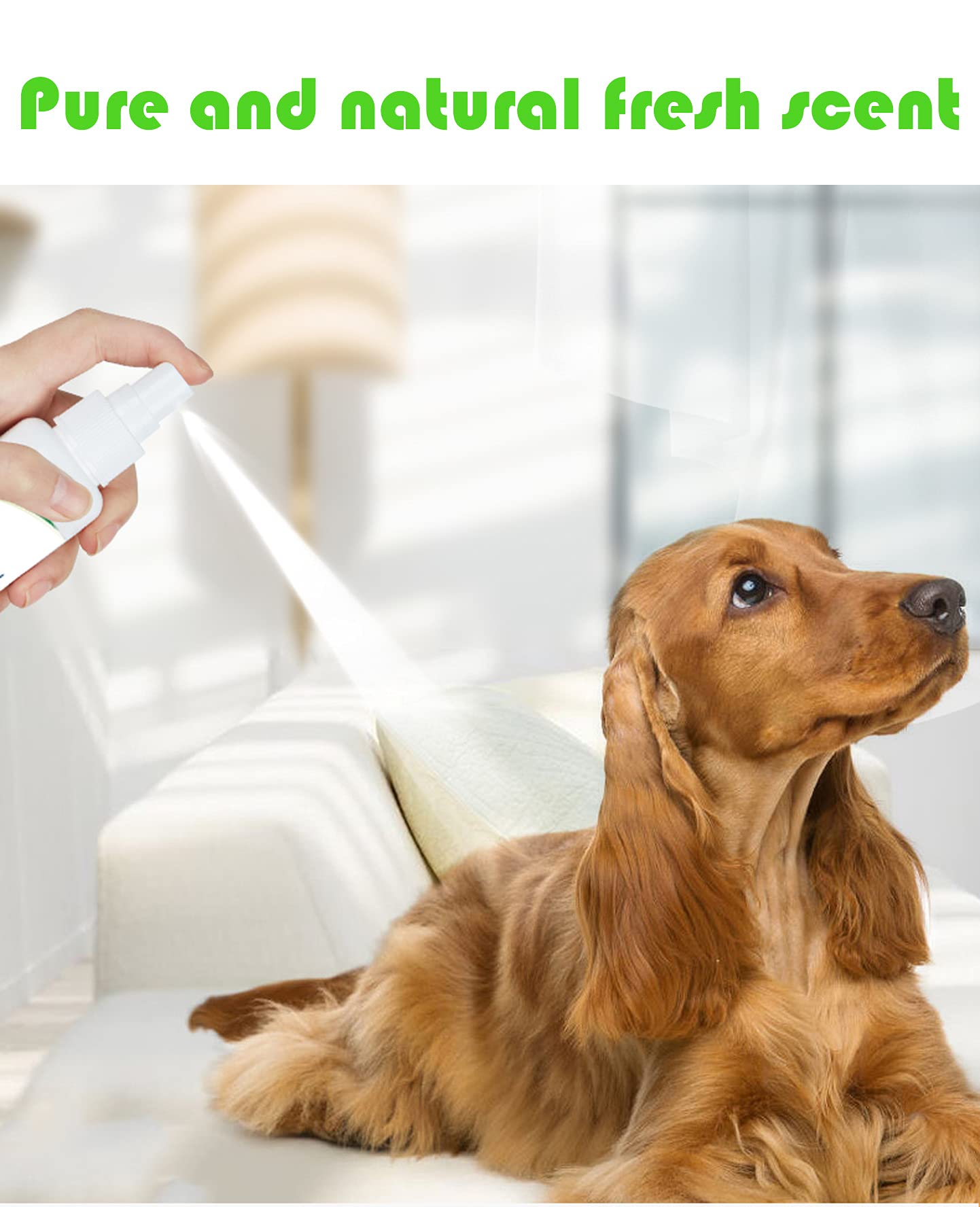 Allergy Itch Relief Spray for Cat and Dog and Cat, Relieves The Urge to Itch, Lick, and Scratch | 4 Ounces