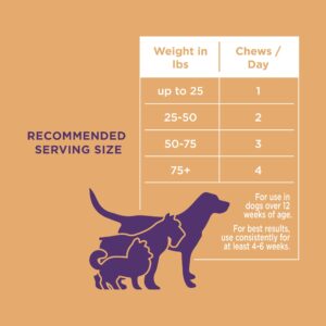 Natural Rapport Dog Skin and Coat Supplement - The Only Skin and Coat Soft Chews Dogs Need - 120ct Treats That Contain Salmon Oil and Omegas 3, 6, & 9 for a Healthy Coat