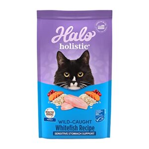 halo holistic cat food dry, wild-caught whitefish recipe for sensitive stomach support, complete digestive health, dry cat food bag, sensitive stomach formula, 10-lb bag