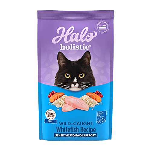 Halo Holistic Cat Food Dry, Wild-caught Whitefish Recipe for Sensitive Stomach Support, Complete Digestive Health, Dry Cat Food Bag, Sensitive Stomach Formula, 10-lb Bag