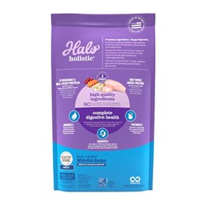 Halo Holistic Cat Food Dry, Wild-caught Whitefish Recipe for Sensitive Stomach Support, Complete Digestive Health, Dry Cat Food Bag, Sensitive Stomach Formula, 10-lb Bag