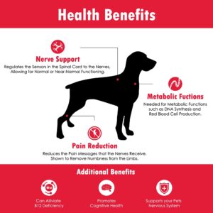 CobalaVet Vitamin B12 & B9 for Small Dogs & Cats - Supports The Nervous System, Brain Function, Immune Defenses & Cell Growth - Blood Cell Formation - Metabolic Pathway - 60 Soft Chews