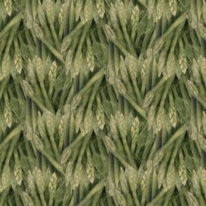 springs creative carols corner asparagus green premium quality 100% cotton fabric by 1/2 of a yard.