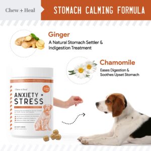 Dog Calming Treats and All in 1 Dog Multivitamin - Stress Relief Thiamine and L-Tryptophan for Fireworks, Storms and Anxiety - Probiotics, Digestive Enzymes, Omega Skin and Coat, Hip and Joint Support