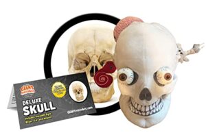 giantmicrobes deluxe skull with hidden organs plush, skull plush, anatomical skull gift, halloween skull decor, anatomy skull, human skull model plushie, skull anatomy model, skull pillow, skull toy