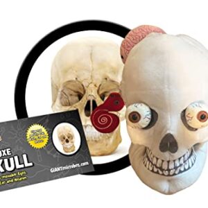 GIANTmicrobes Deluxe Skull with Hidden Organs Plush, Skull Plush, Anatomical Skull Gift, Halloween Skull Decor, Anatomy Skull, Human Skull Model Plushie, Skull Anatomy Model, Skull Pillow, Skull Toy