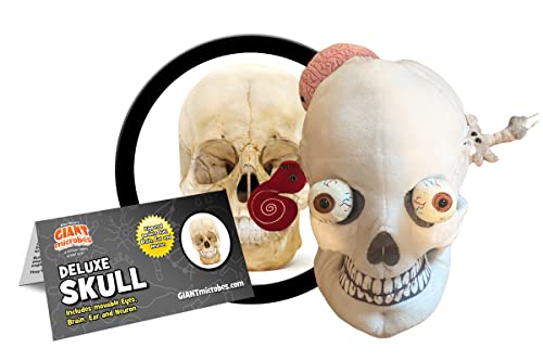 GIANTmicrobes Deluxe Skull with Hidden Organs Plush, Skull Plush, Anatomical Skull Gift, Halloween Skull Decor, Anatomy Skull, Human Skull Model Plushie, Skull Anatomy Model, Skull Pillow, Skull Toy