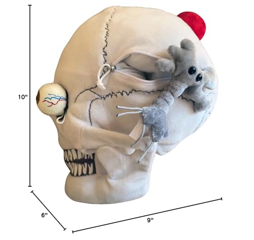 GIANTmicrobes Deluxe Skull with Hidden Organs Plush, Skull Plush, Anatomical Skull Gift, Halloween Skull Decor, Anatomy Skull, Human Skull Model Plushie, Skull Anatomy Model, Skull Pillow, Skull Toy