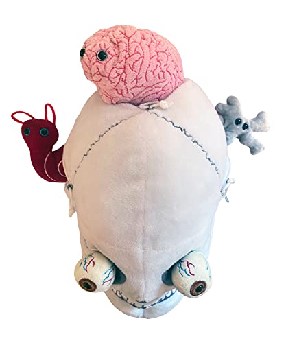 GIANTmicrobes Deluxe Skull with Hidden Organs Plush, Skull Plush, Anatomical Skull Gift, Halloween Skull Decor, Anatomy Skull, Human Skull Model Plushie, Skull Anatomy Model, Skull Pillow, Skull Toy