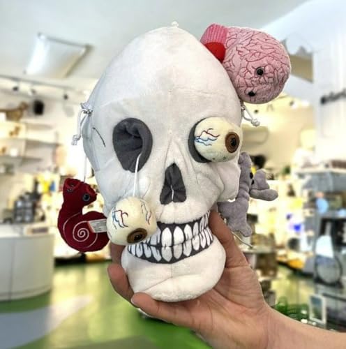 GIANTmicrobes Deluxe Skull with Hidden Organs Plush, Skull Plush, Anatomical Skull Gift, Halloween Skull Decor, Anatomy Skull, Human Skull Model Plushie, Skull Anatomy Model, Skull Pillow, Skull Toy