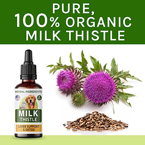 Milk Thistle for Dogs and Cats - Liver Support Supplement - Canine Hepatic Care - Cat & Dog Liver Cleanse - Liquid Milk Thistle Drops for Pets - Liver Protection & Defence - Made in USA - 2 fl oz