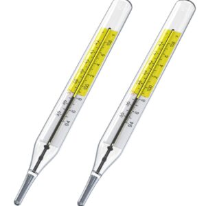 2pcs Glass Thermometer Mercury Free Clinlic Thermometer Traditional Thermometer Dual Scale Mercury Free C&F 2PK