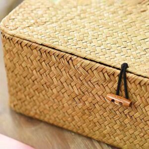 3 Compartment Storage Basket with Lid 3 Grid Hand-Woven Water Hyacinth Storage Basket Home Organizer Bins for Makeup, Clothes, Bathroom, Toilet and Home Items