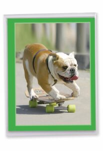 nobleworks - hilarious happy birthday card with envelope (8.5 x 11 inch) - funny animal greeting card from all of us - skating bulldogs - green wheels j9517ebdg-us