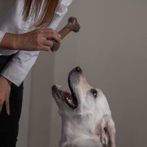 Hero | Bonetics Femur Bone | Dog Bones | Puppy Bones | Designed for Extra Large Dogs Up to 75 lbs (Bacon Flavor)