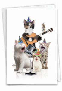 nobleworks - kittens birthday greeting card with 5 x 7 inch envelope (1 card), fun animal bday celebration - animal bands - cats c9508gbdg