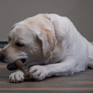 Hero | Bonetics Femur Bone | Dog Bones | Puppy Bones | Designed for Extra Large Dogs Up to 75 lbs (Bacon Flavor)