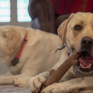 Hero Bonetics Stick, Wood Scent Chewable Dog Toy, Gentle on Teeth & Tummy