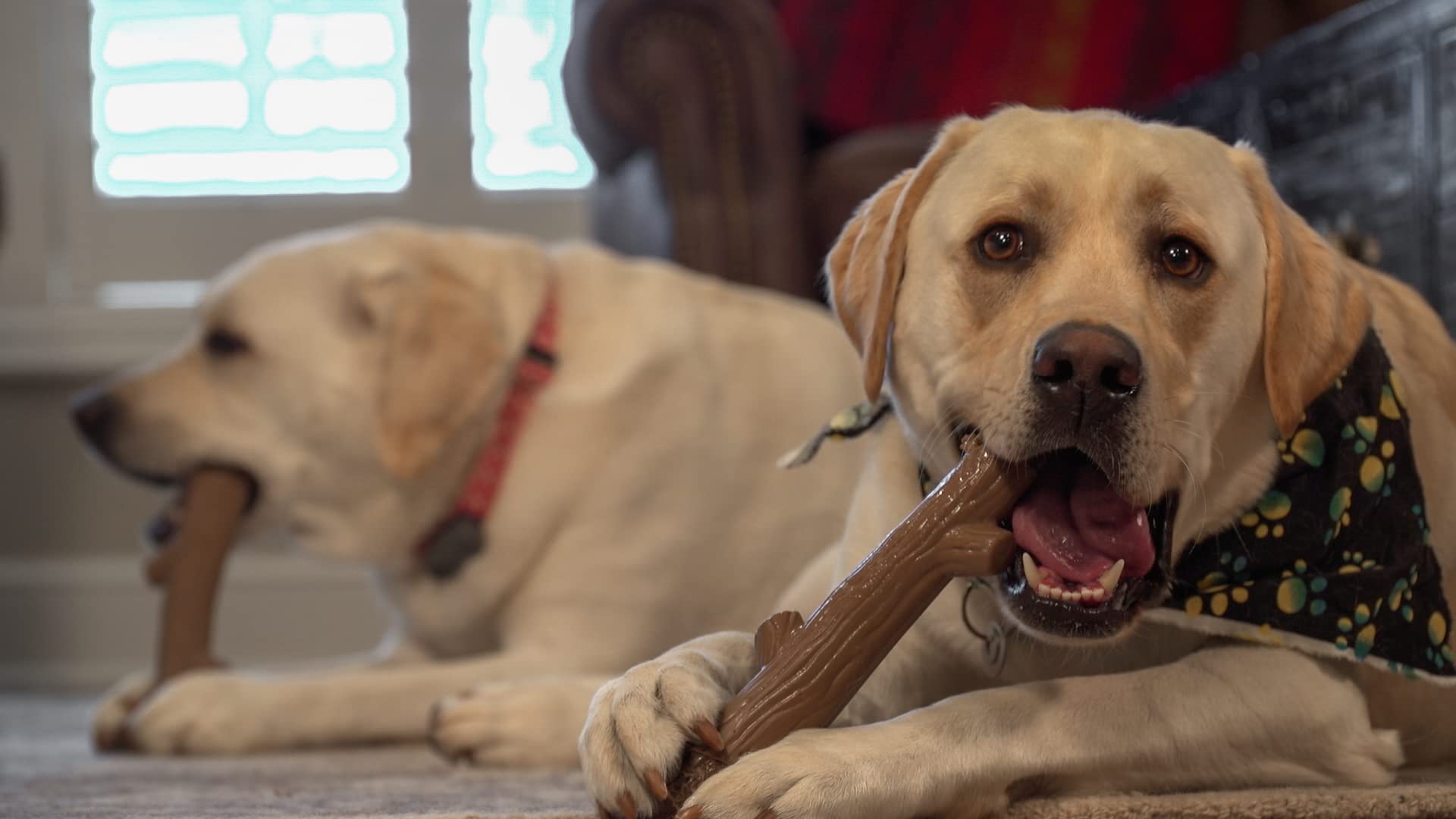 Hero Bonetics Stick, Wood Scent Chewable Dog Toy, Gentle on Teeth & Tummy