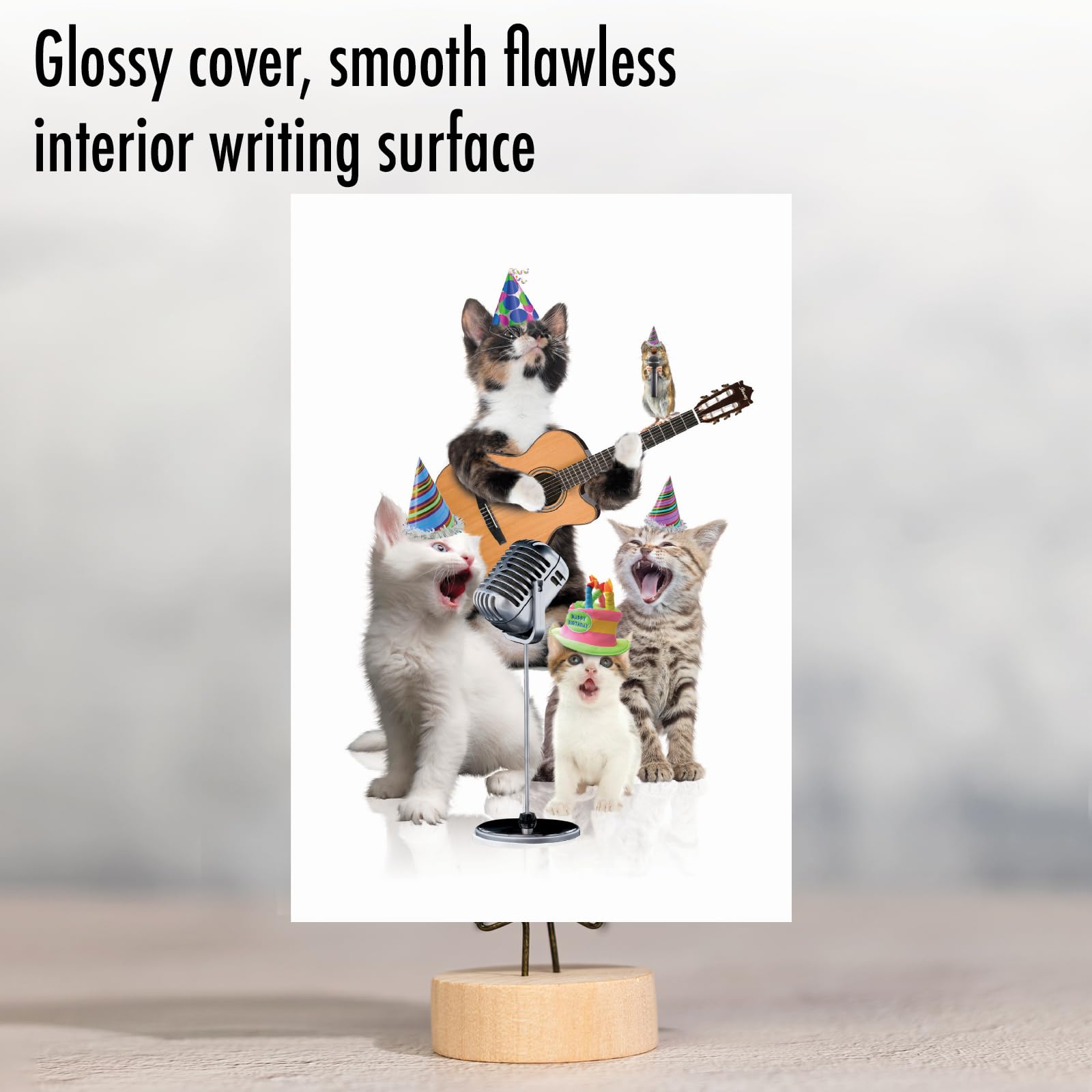 NobleWorks - Kittens Birthday Greeting Card with 5 x 7 Inch Envelope (1 Card), Fun Animal Bday Celebration - Animal Bands - Cats C9508GBDG