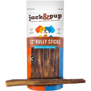 Jack&Pup Bundle - Bully Sticks + Pro-Digest Supplements | 12-Inch Odor Free [Standard Size] Bully Sticks (5 Pack) | Pro-Digest Probiotics for Dogs (60 Chews)…