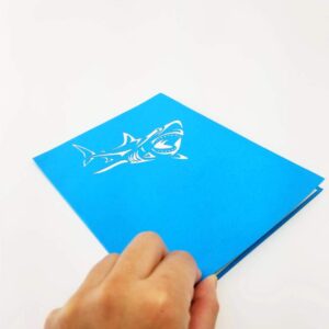 POP CARD EXPRESS White Shark Pop Up Card, 3D Popup Greeting Card - Ocean Birthday Pop Up Card, Congratulations, Thank you, Get Well for Friend, for son, for husband, for children