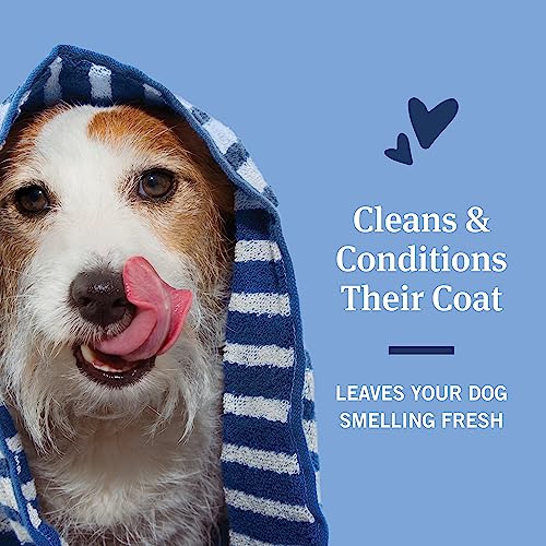 PetArmor Flea & Tick Protection Oatmeal Shampoo for Dogs, Hawaiian Ginger Scent, 18 oz