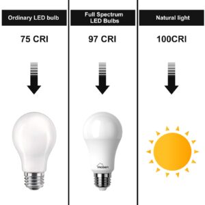 McDen A19 LED Bulb 100W Equivalent,Full Spectrum Light Bulb,Light Therapy Lamp Bulb,Daylight Light Bulbs 13W 5000K,Bright White Light Bulbs Enjoy The Sun at Home Happy,2 Pack