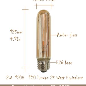 CTKcom T10 E26 Amber LED Light Bulb,Smooth Dimmable T10 Tubular Edison Light Bulbs,2 Watt 120V 2200K Warm White 140 lumens Vintage Edison Light Bulbs 25 Watt Equivalent,4 Pack