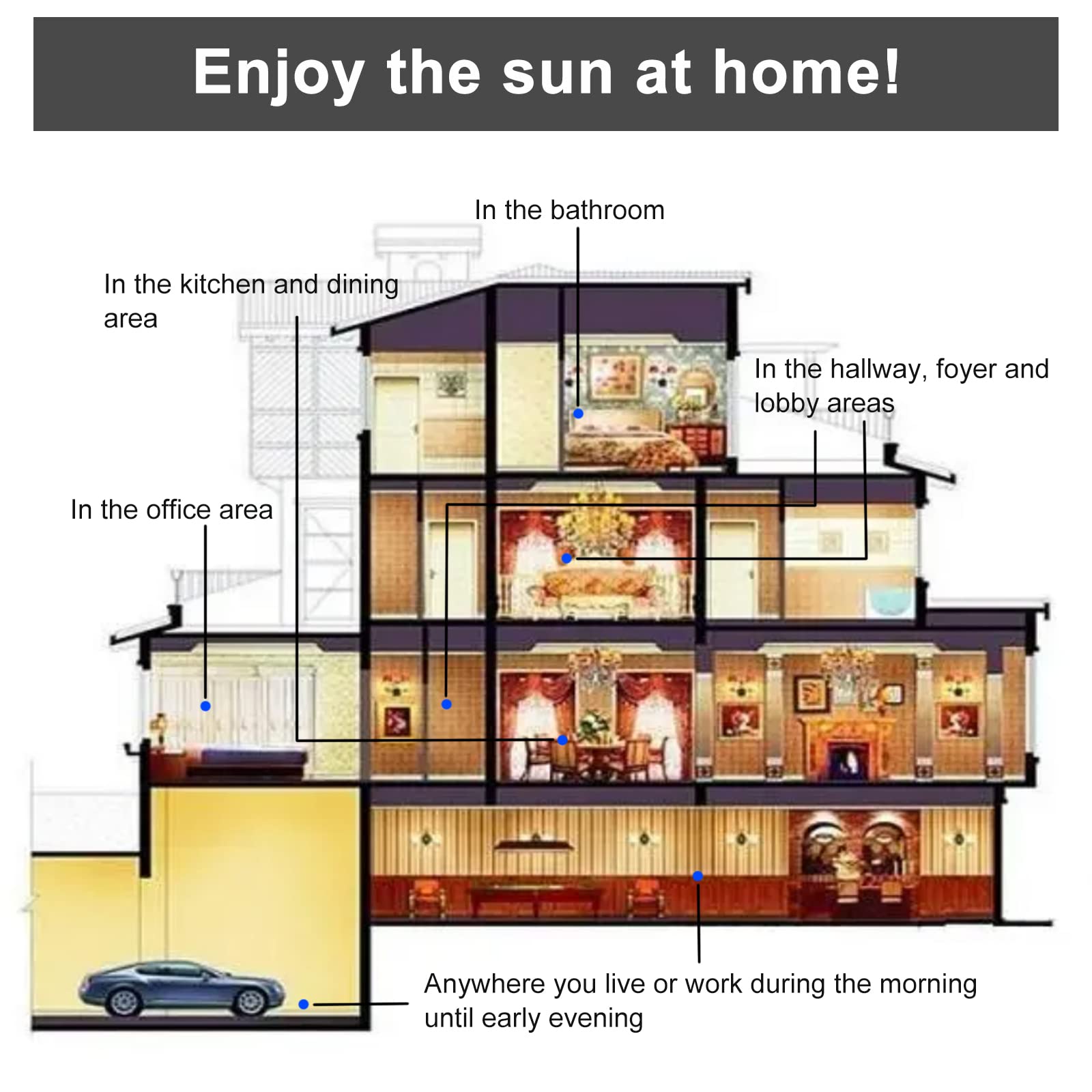 McDen A19 LED Bulb 100W Equivalent,Full Spectrum Light Bulb,Light Therapy Lamp Bulb,Daylight Light Bulbs 13W 5000K,Bright White Light Bulbs Enjoy The Sun at Home Happy,2 Pack