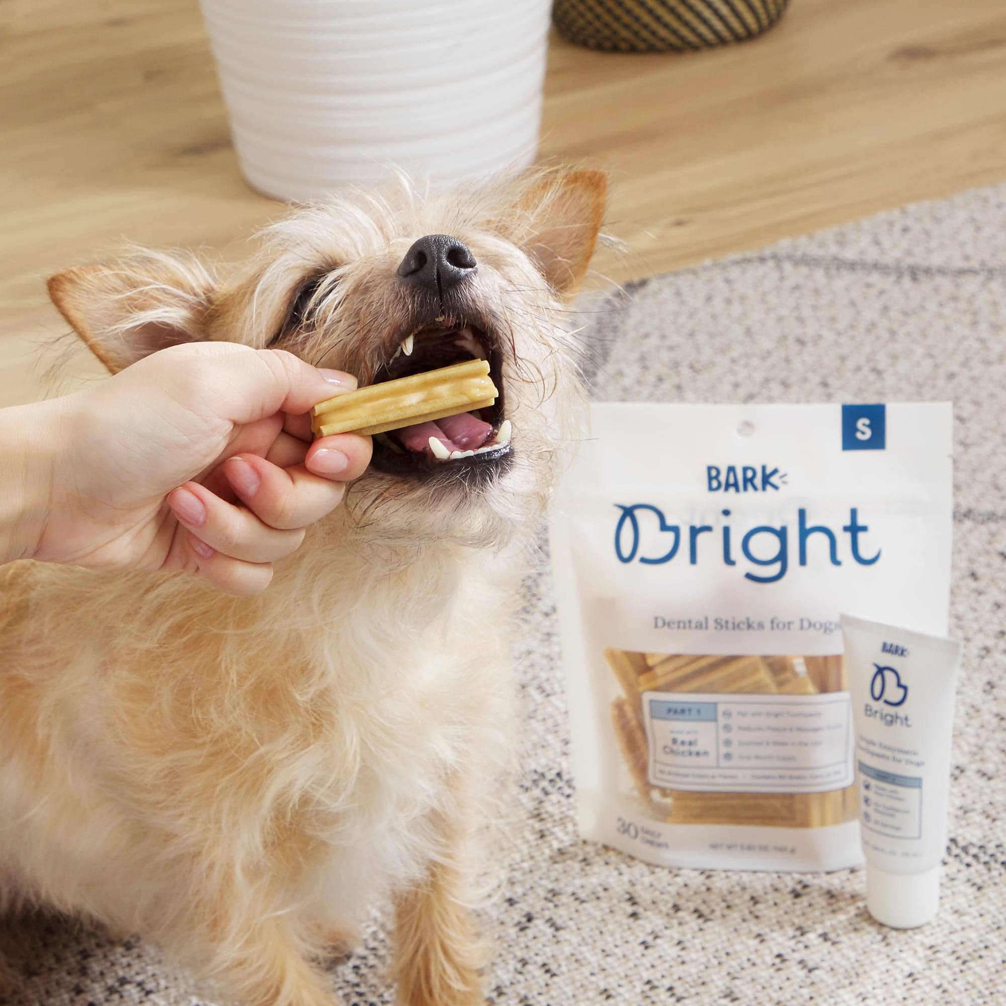 BARK Bright Dental Sticks for Small Dogs Chews, 5.82 oz., Count of 30