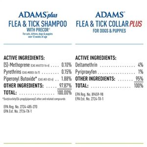 Adams Plus Shampoo 12 oz. + Flea & Tick Collar