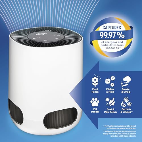 Clorox Air Purifiers for Home, True HEPA Filter, Small Rooms Up to 200 Sq Ft, Removes 99.9% of Mold, Viruses, Wildfire Smoke, Allergens, Pet Allergies, Dust, AUTO Mode, Whisper Quiet