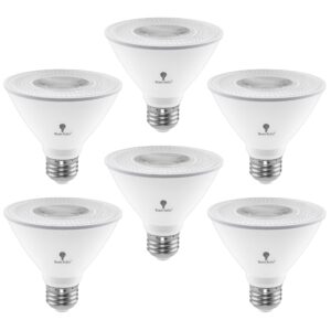 6 pack par30 short neck led flood light bulb 10w 75 watt equivalent 850 lumens waterproof e26 5000k daylight super bright par30 led bulb for security, led spotlight bulb led recessed light bulbs