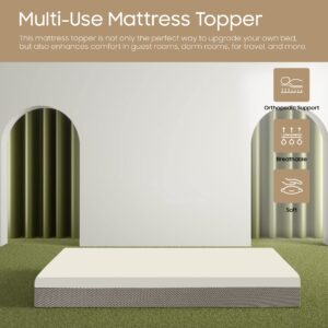 Zayton 1-inch Medium Firm Foam Mattress Topper | Premium Supporting Bed Pads with Breathable and Comfortable Bed Toppers for Back Pain, Orthopedic Support for Better Sleep, King, White