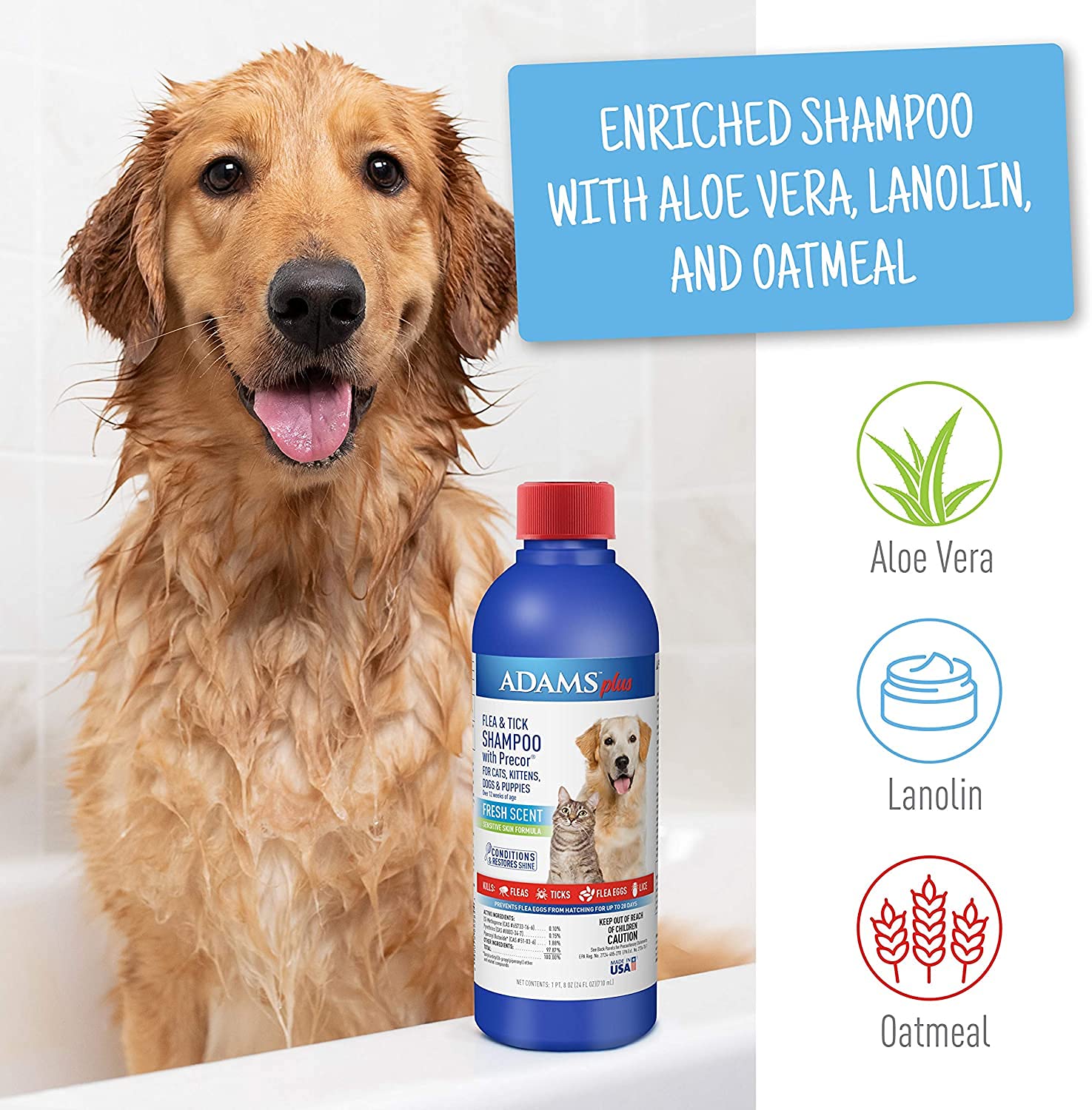 Adams Plus Shampoo 12 oz. + Flea & Tick Collar