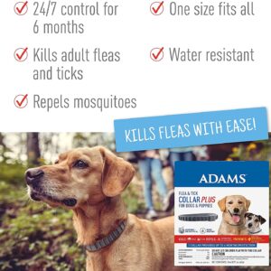 Adams Home Spray + Flea & Tick Dog Collar