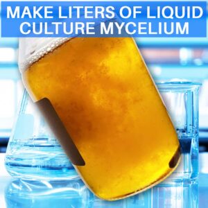 Mushroom Liquid Culture Premix 100 Grams - Evviva Sciences – Make Liters of Your Own Mushroom, Mycelium Liquid Cultures - Professional Lab Performance - Excellent for Mycology Projects