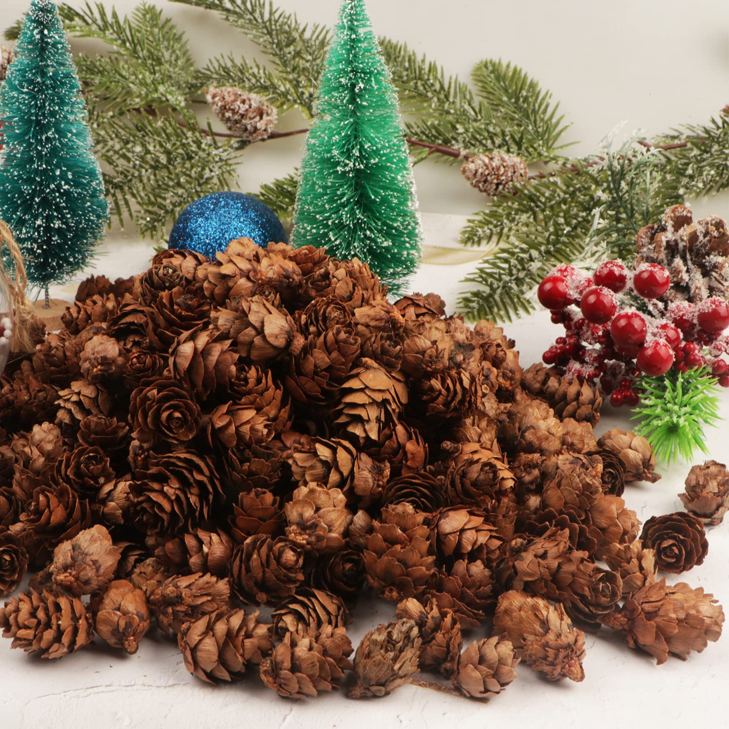 200PCS Christmas Natural Pine Cones Mini Pine Cones Fall Decorations Pinecones Ornaments Bulk Small Pine Cones for DIY Crafts Thanksgiving Fall Winter Christmas Wedding Decor Vase Filler Decor