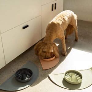 Should We Go? - Waterproof Silicone Pet Food Mat - Non-Slip, Spill-Proof Feeding Mats for Floors, Raised Edge Design, Easy-to-Clean, Durable Flexible Rubber Mat for Dog & Cat Bowls, Medium-Sage Green