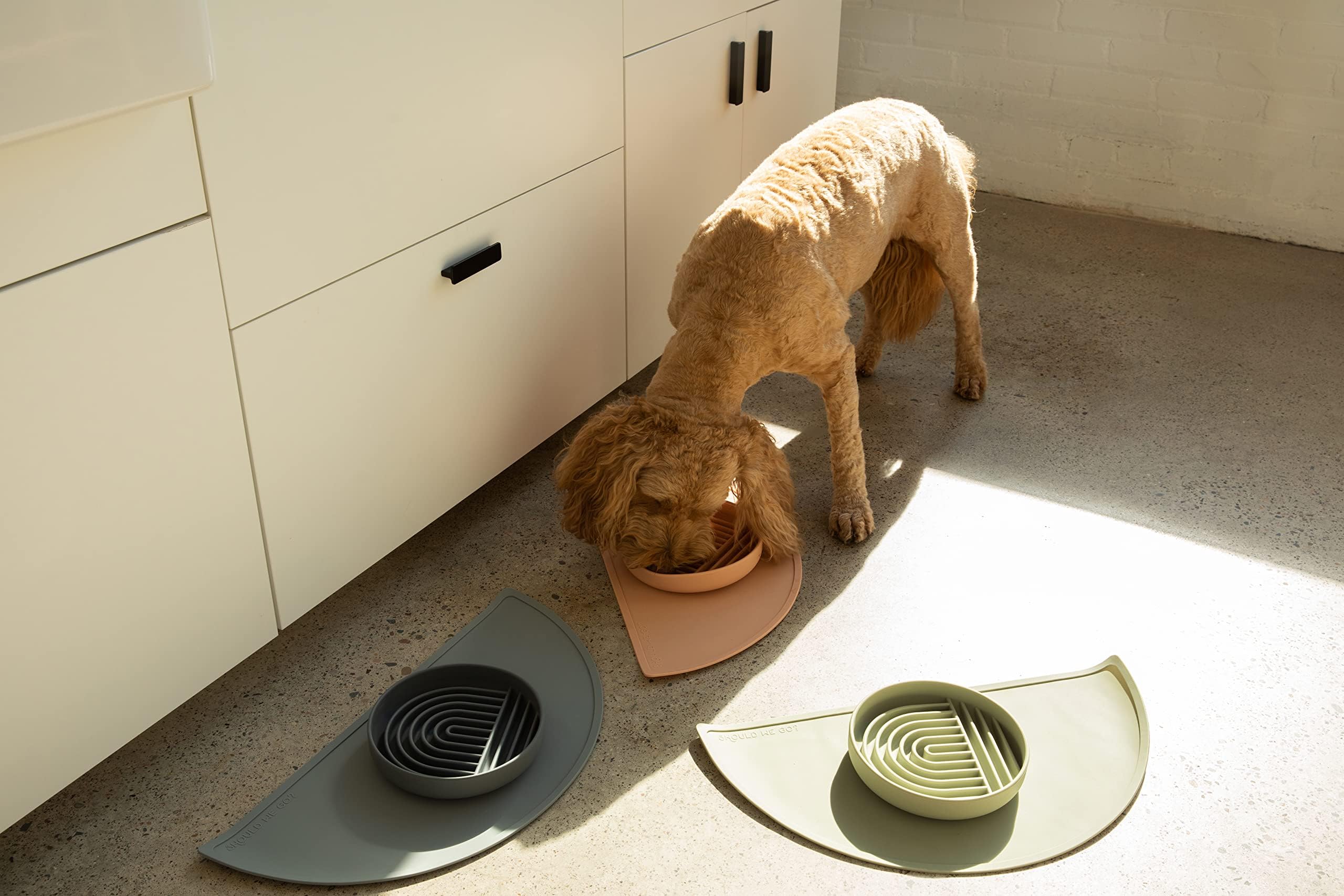 Should We Go? - Waterproof Silicone Pet Food Mat - Non-Slip, Spill-Proof Feeding Mats for Floors, Raised Edge Design, Easy-to-Clean, Durable Flexible Rubber Mat for Dog & Cat Bowls, Medium-Sage Green