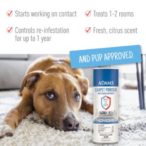 Adams Carpet Powder + Flea & Tick Dog Collar